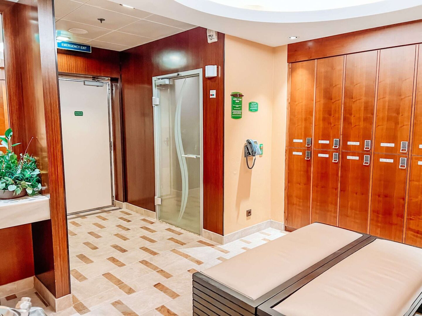 Disney Cruise Rainforest Room Review – Disney Cruise Planning