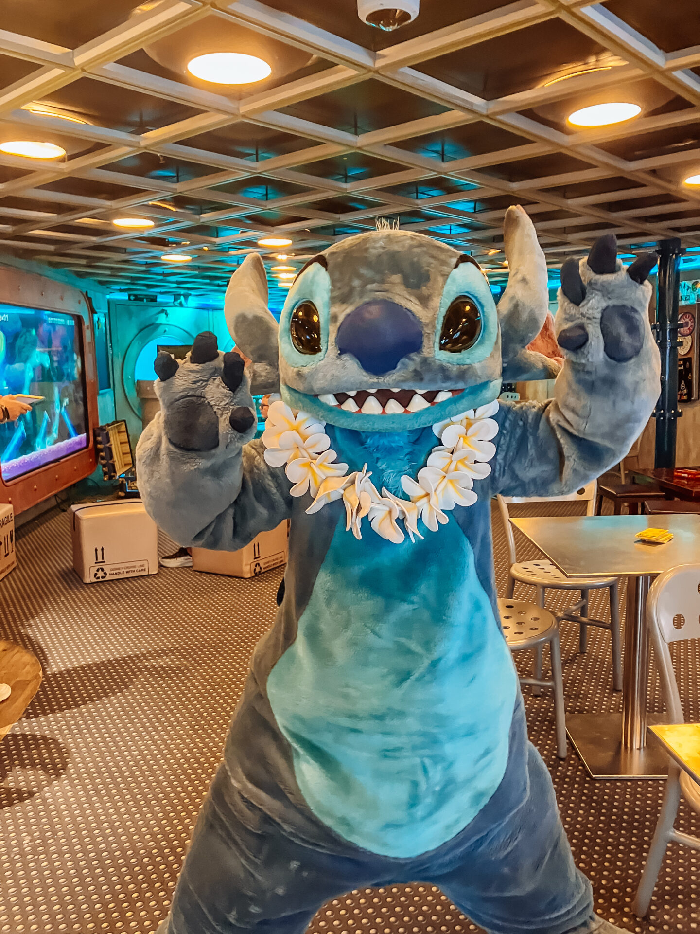 Disney Magic Cruise Ship Guide